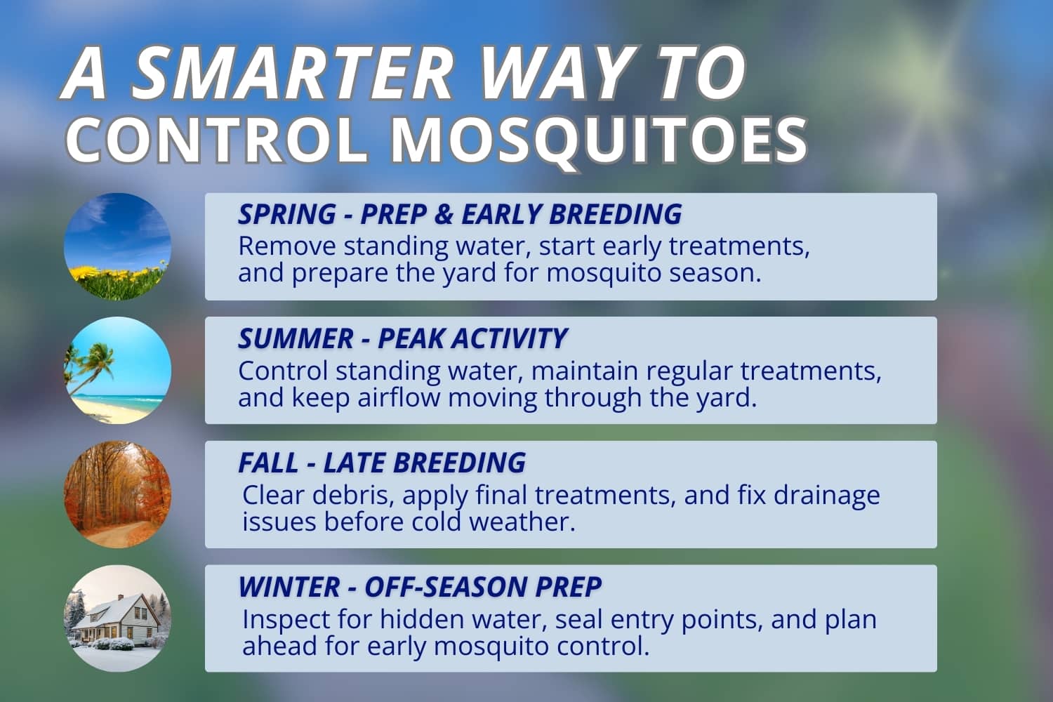 How to Get Rid of Mosquitoes in Your Backyard the Right Way - Honor ...